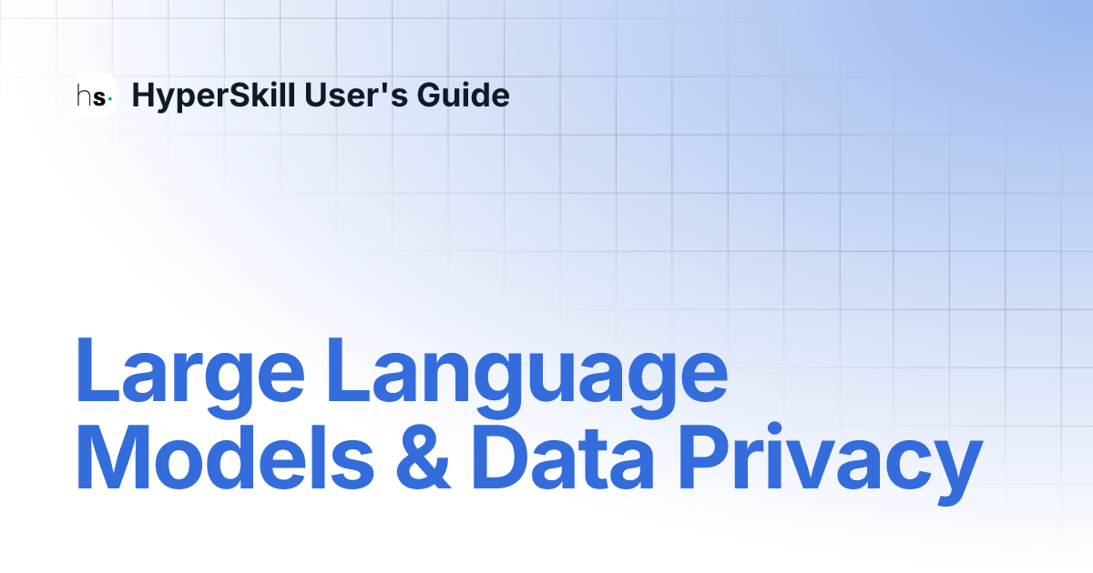 Large Language Models & Data Privacy | HyperSkill User's Guide